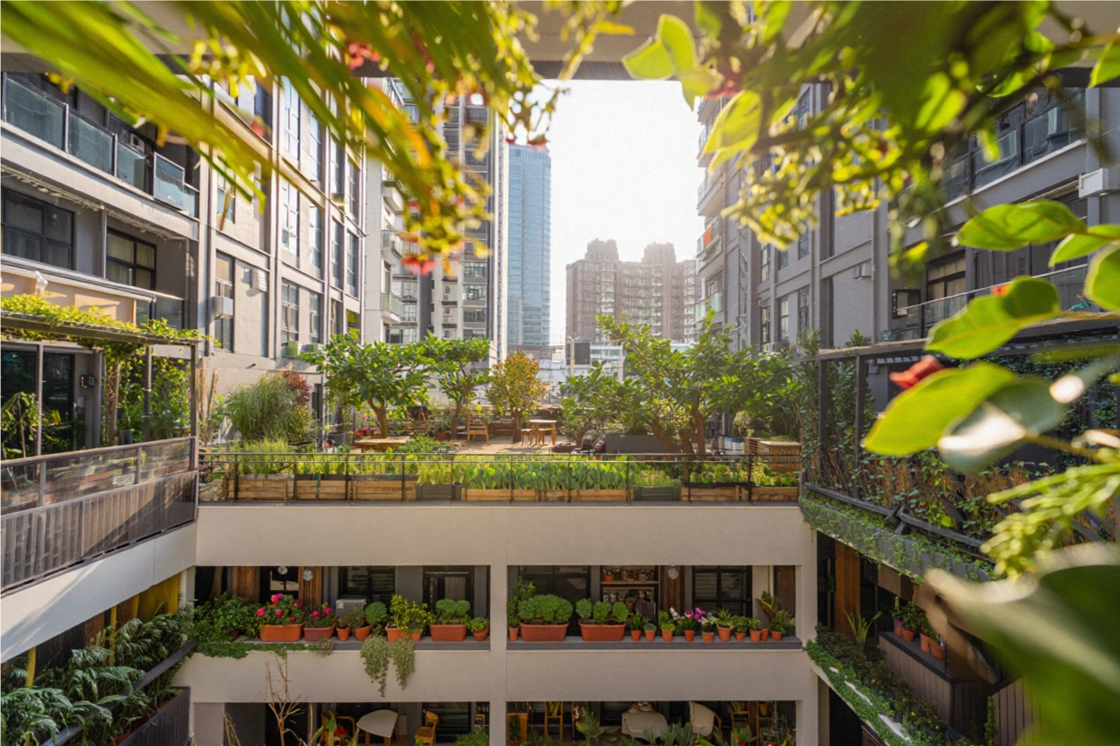 Jardineria Urbana: Guía Definitiva para Cultivar tu Paraíso Verde